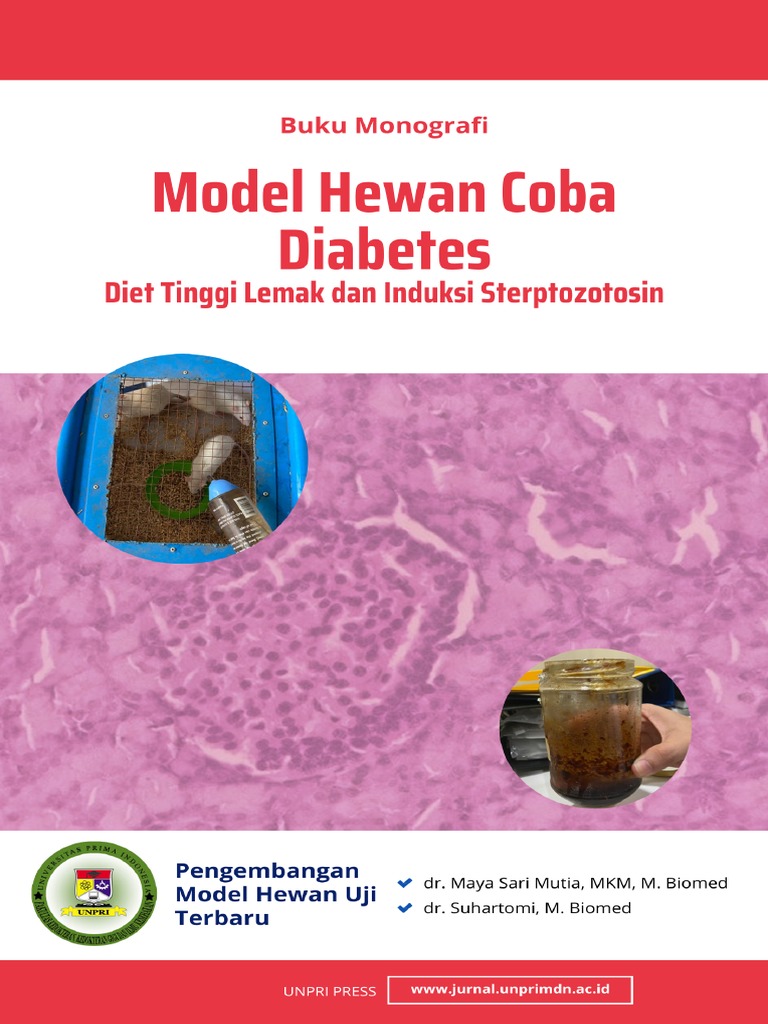 Revised Buku Monograf PDF | PDF