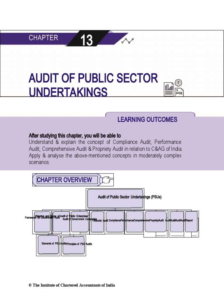 67254bos54141 cp13 | PDF | Audit | Financial Audit