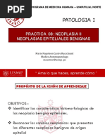 Actualizacion de Protocolos de La Cap | PDF