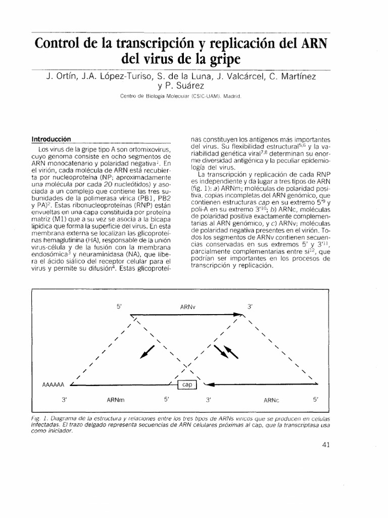 Transcripcion PDF | PDF