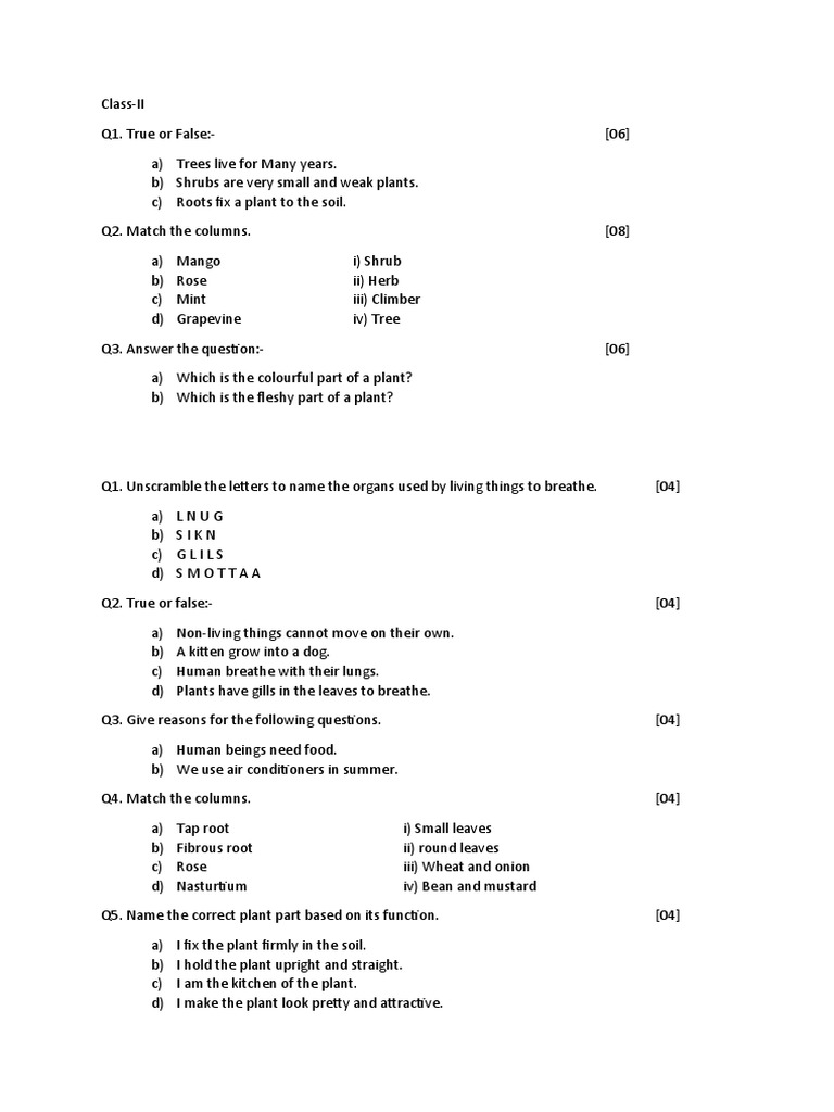 Class 1 Sample Question Paper | PDF