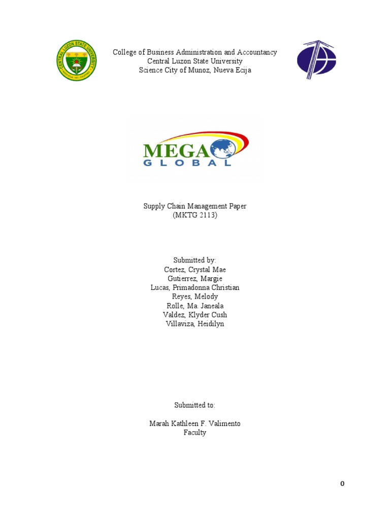 Mega Sardines MKTG 2113 | PDF | Supply Chain | Product (Business)