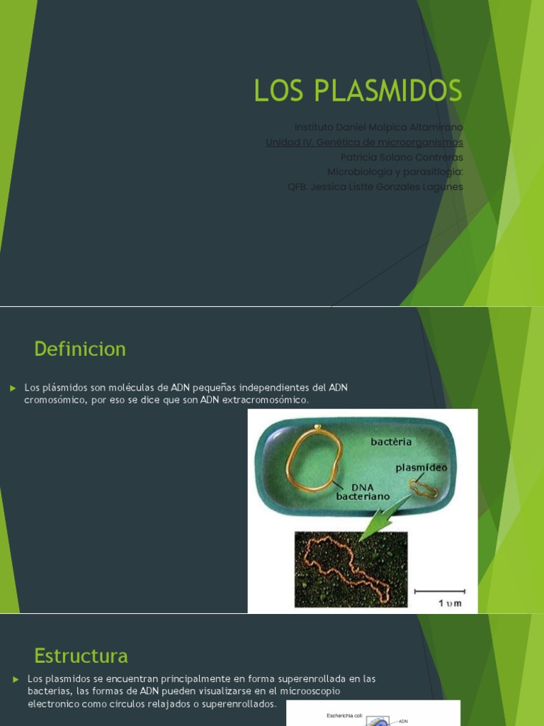 Plasmidos Exposicion | PDF | Plásmido | Adn
