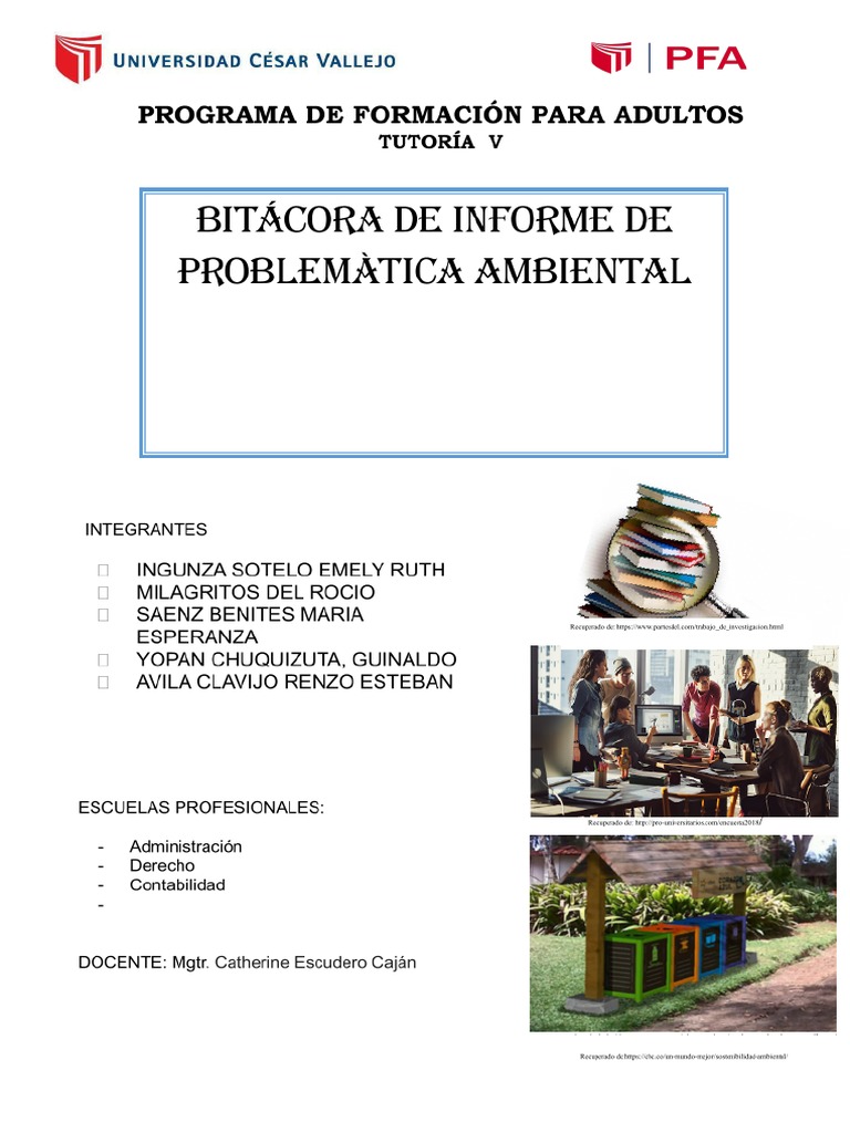 Bitácora de Problemática. Tutoría V.pfa PDF | PDF
