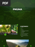 PNUMA: Objetivos y Funciones 2024 | PDF | Programa del Medio Ambiente ...