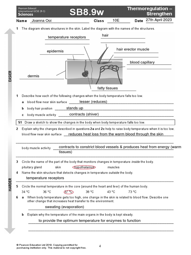 Thermoregulation | PDF | Skin | Thermoregulation