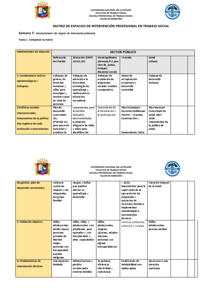 MATRIZ DE ESPACIOS DE INTERVENCION EN TRABAJO SOCIAL Ejemplo | PDF