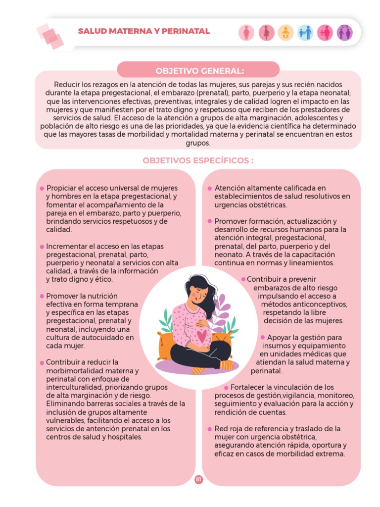 Asegurando la atención integral de la salud materna y perinatal ...