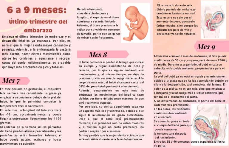 Tercer Trimestre de Embarazo | PDF | El embarazo | Parto