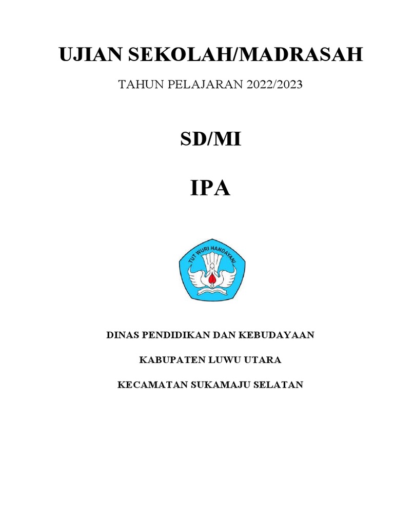 Ipa Us 2023 | PDF
