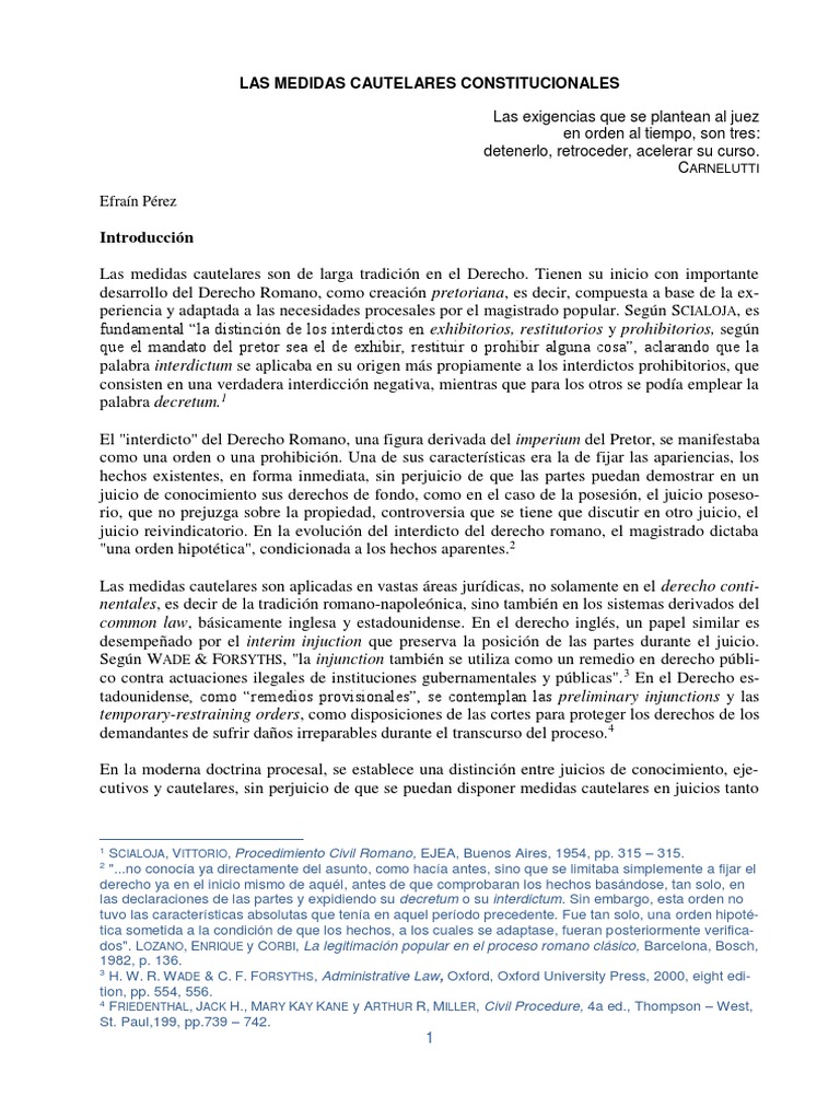 Efrain Perez - Las Medidas Cautelares Constitucionales | Descargar ... Efrain Perez - Las Medidas Cautelares Constitucionales | Descargar ...