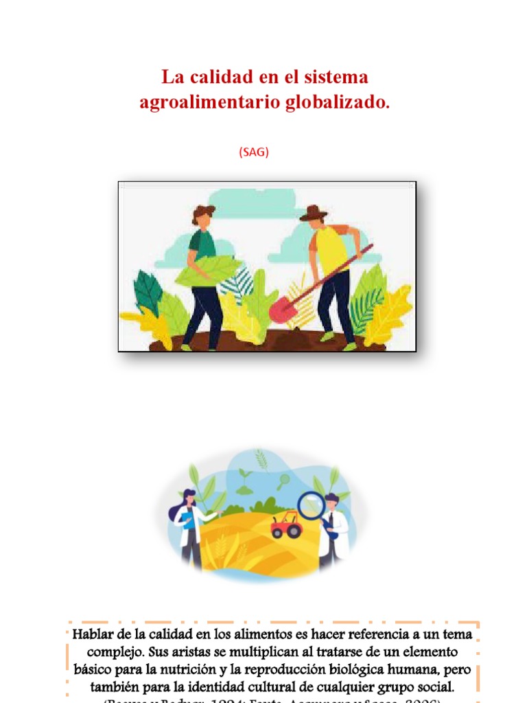 La Calidad en El Sistema Agroalimentario Globalizado | PDF | Alimentos ...