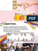 The Material/Economic Self | PDF | Consumerism | Affect (Psychology)