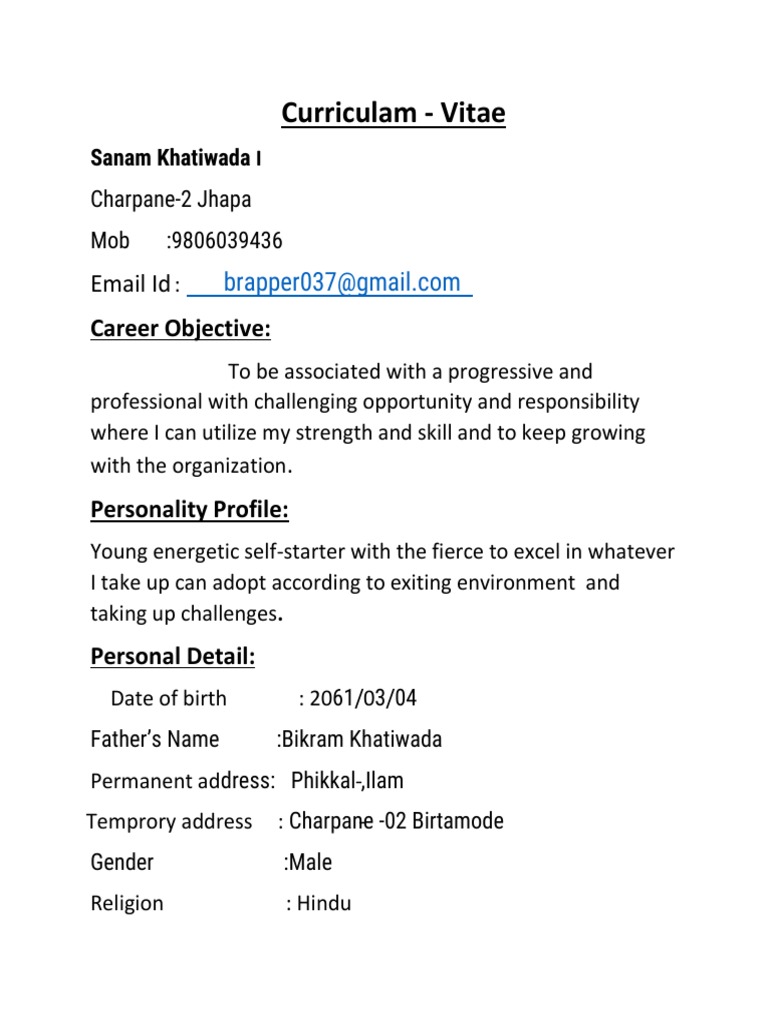 SANAM CV Details | PDF