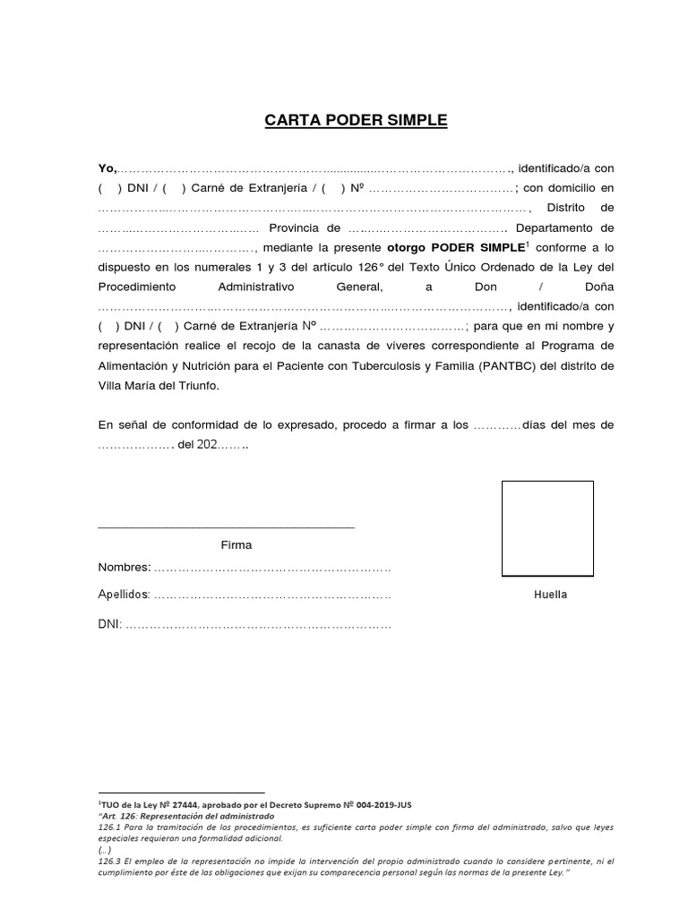Formato de Carta Poder Simple PDF | PDF