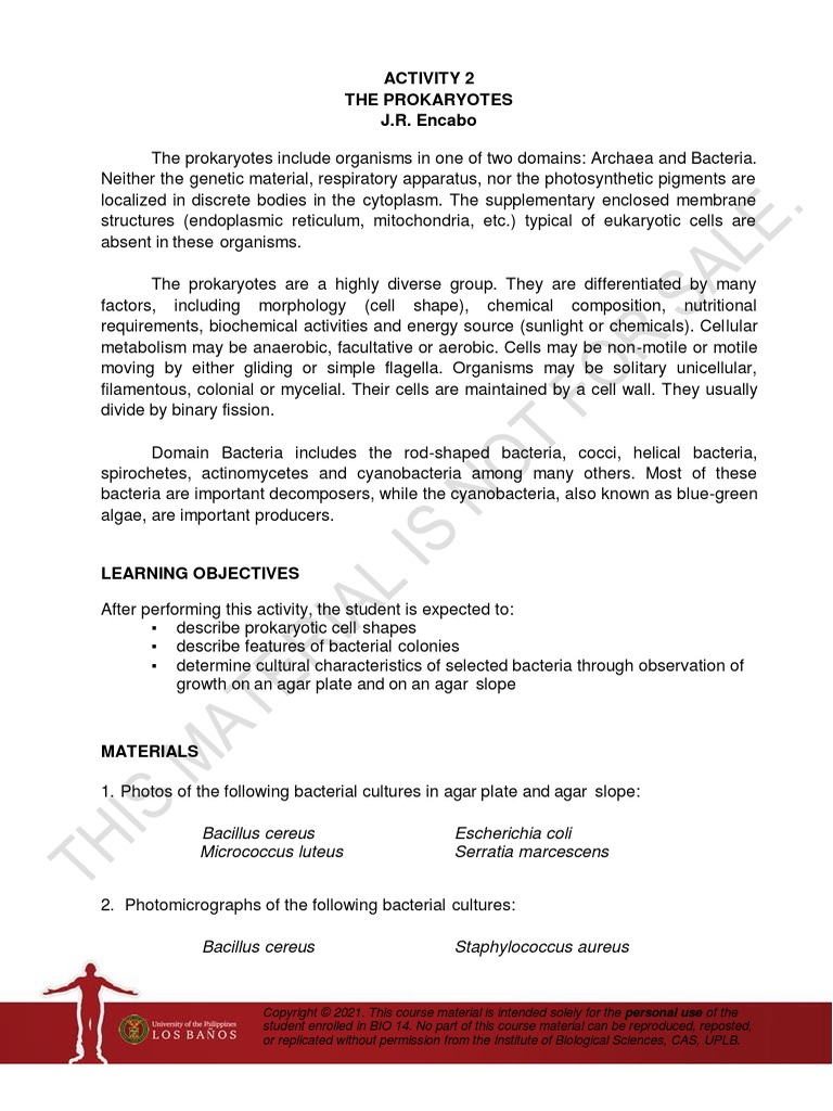 Activity 2-The Prokaryotes | PDF | Bacteria | Cell (Biology)