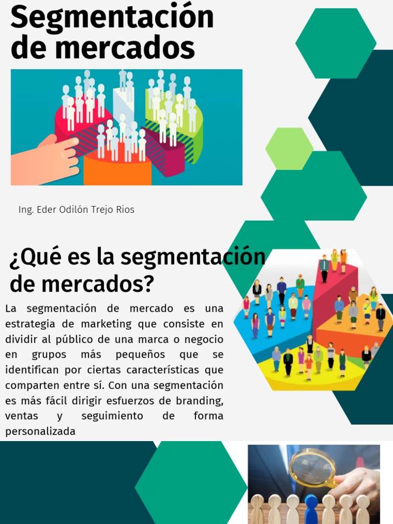 Segmentacion de Mercado | PDF | Marketing | Segmentación de mercado