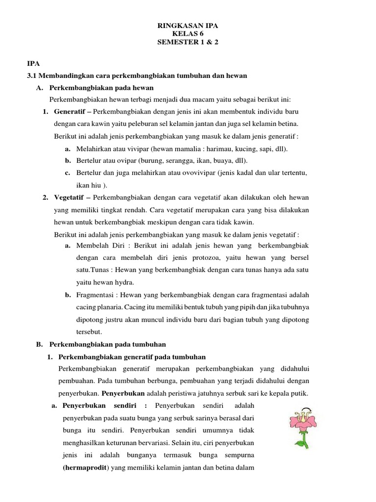 Ringkasan Ipa Kelas 6 | PDF | Griya & Taman