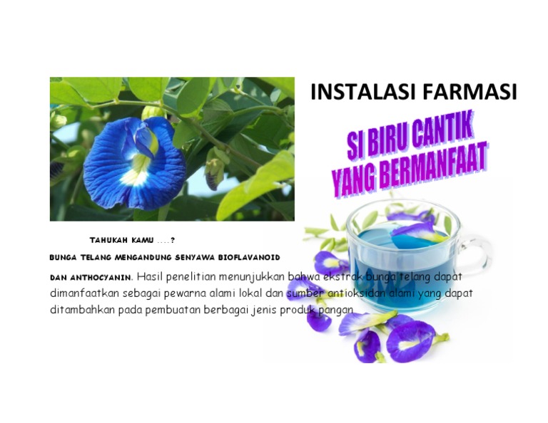 Bunga Telang | PDF