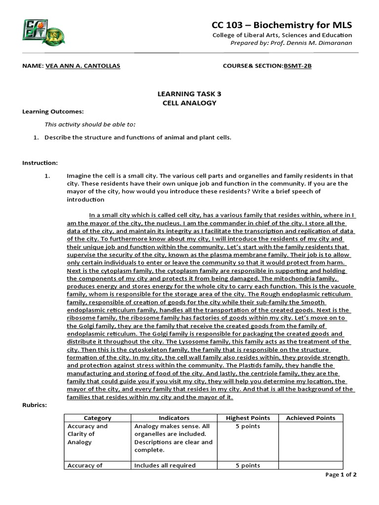 Cell Analogy | PDF | Cell (Biology) | Cytoplasm