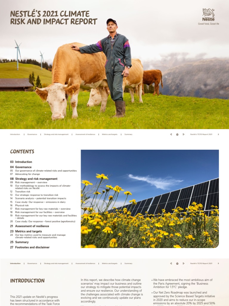 2021 TCFD Report | PDF