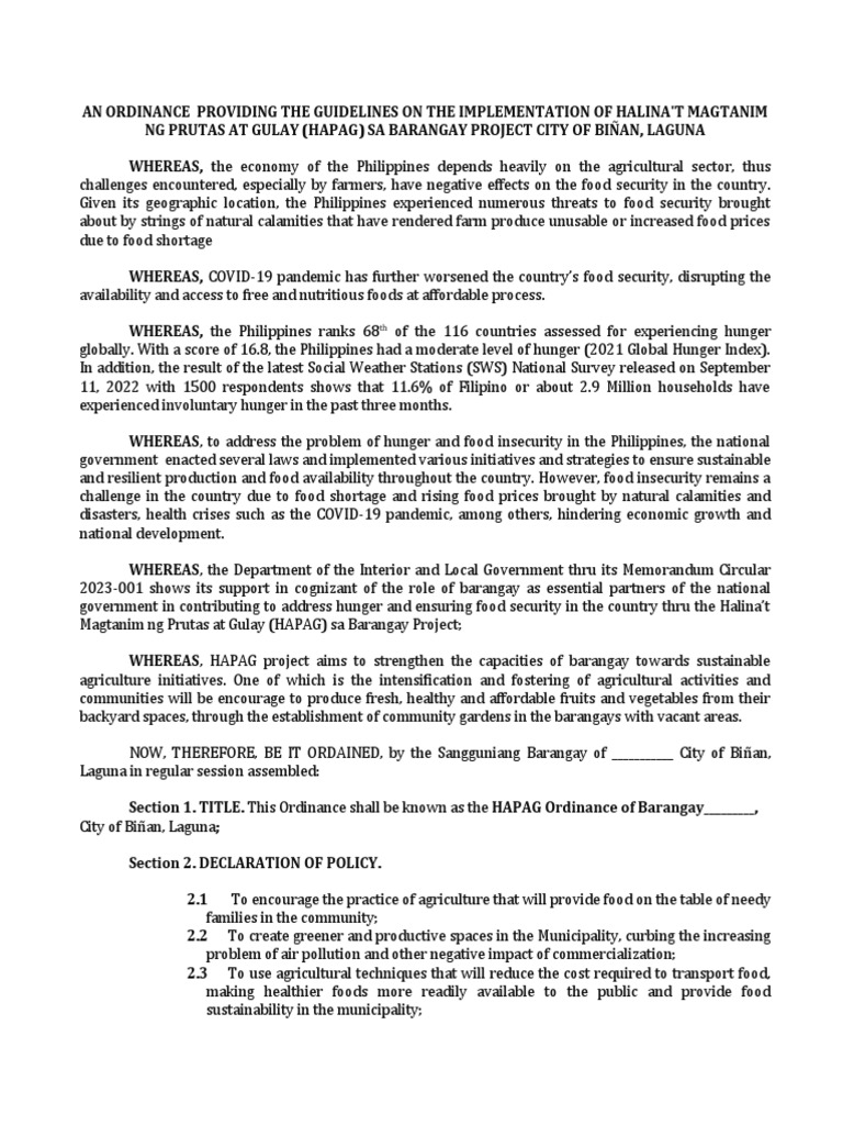 Draft Ordinance Hapag | PDF