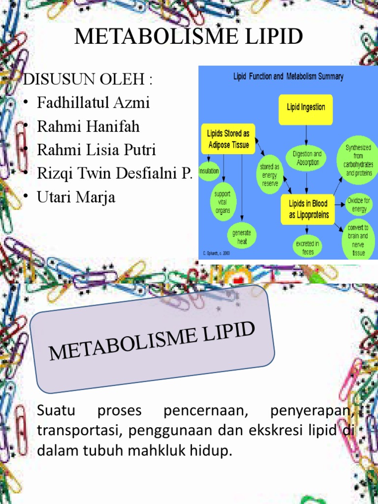 Biokimia Metabolisme Lipid | PDF