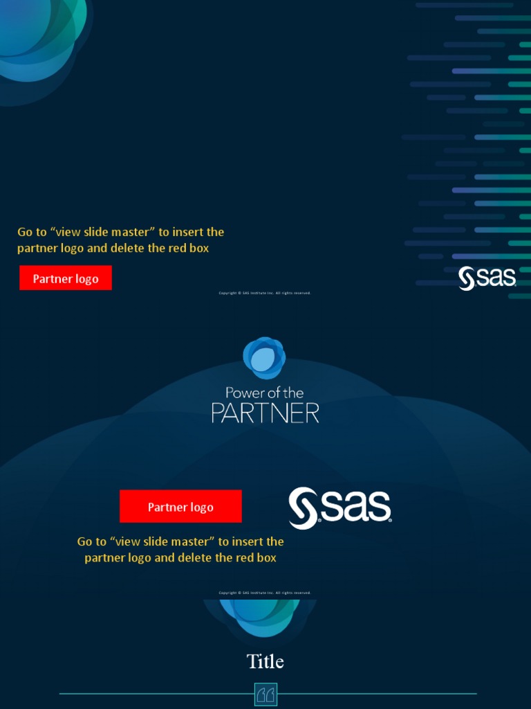 Sas Partner Cobranded Template 16x9 | PDF