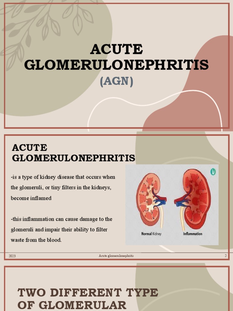 Acute Glomerulonephritis Pdf