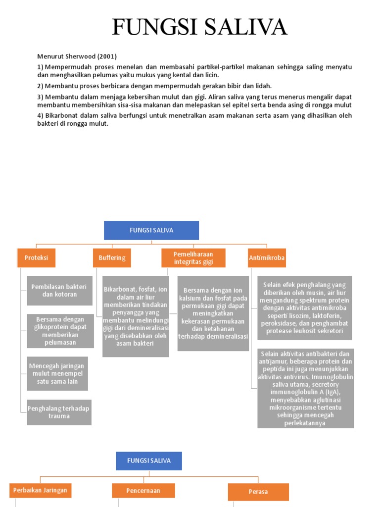 Fungsi Saliva | PDF