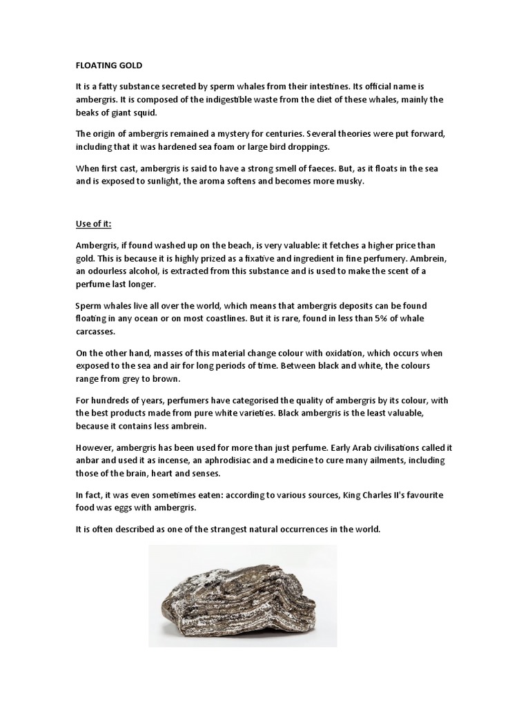 The Value and Uses of Ambergris | PDF | Cooking, Food & Wine | Home ...