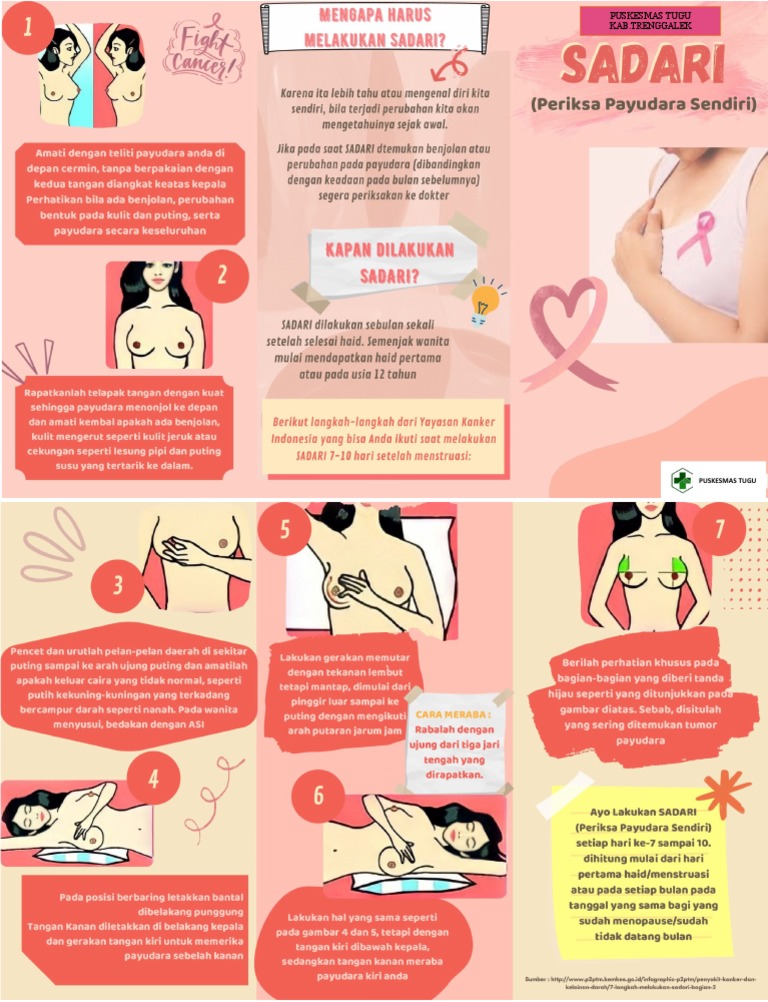 Leaflet Sadari | PDF