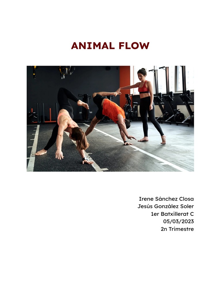 Animal Flow-1 | PDF