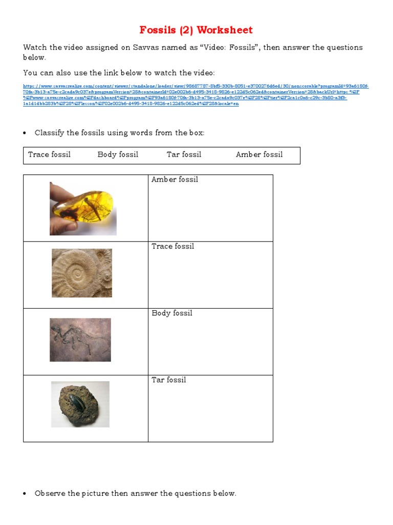 Fossils (2) Worksheet 2 | PDF