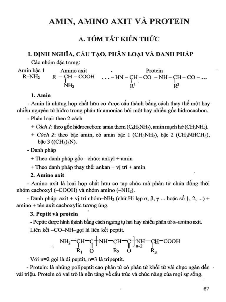 Tom Tat Ly Thuyet Va Huong Dan Giai Cac Dang Bai Tap Amin Amino Axit Va Protein PDF | PDF