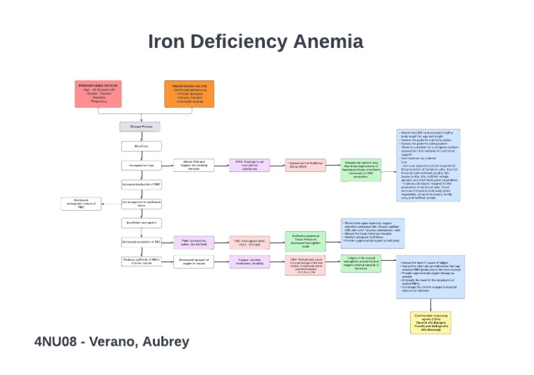 Iron Deficiency Anemia | PDF | Anemia | Red Blood Cell