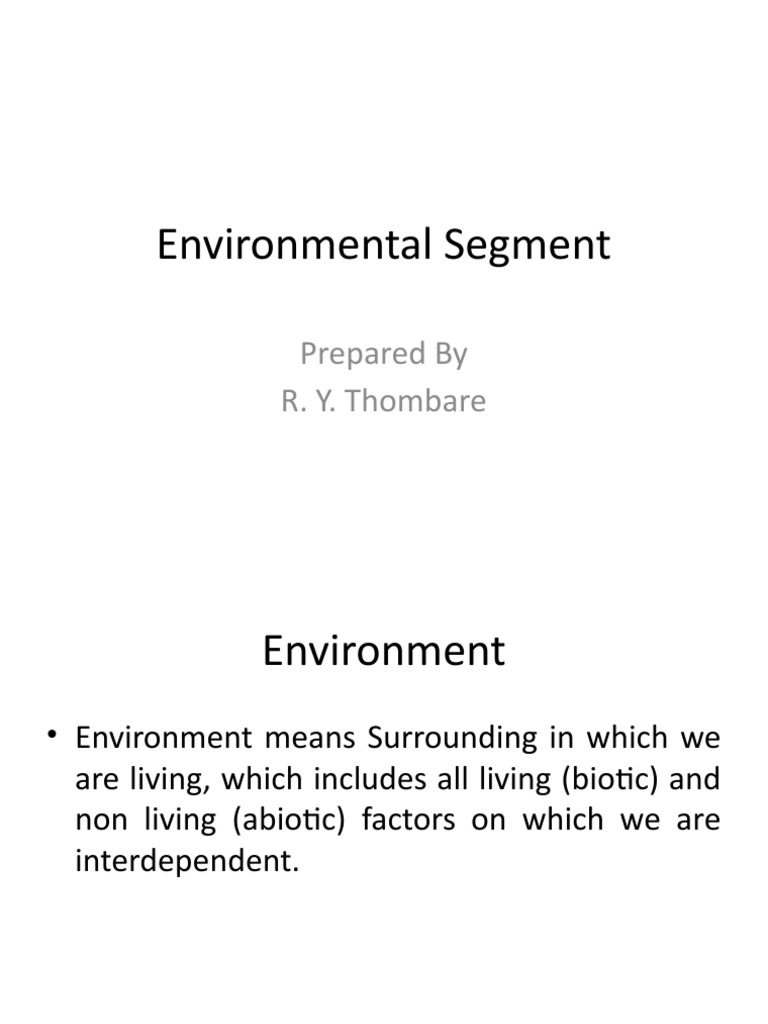 Environmental Segment Pdf