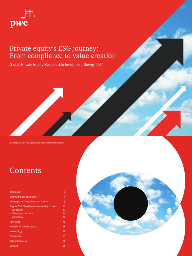 PWC Pe Survey 2021 | PDF | Private Equity | Investing
