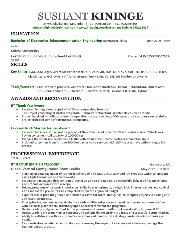 Telecom Engineering & Project Management Resume | PDF | Computers