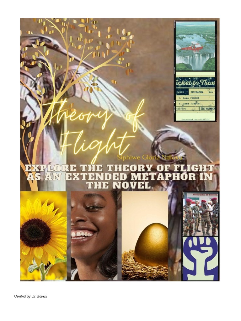 The Theory of Flight by Ndlovu | PDF | Forgiveness | Management Of Hiv/Aids