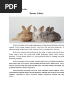 Latihan Coding Untuk Anak SD Kelas 1part 1 | PDF