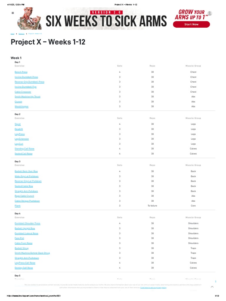 Project X 12-Week Workout Plan | PDF | Weight Training | Human Anatomy