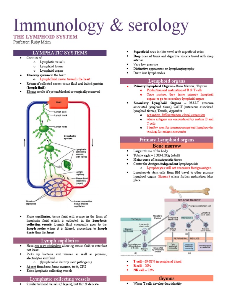 IMMUNOLOGY - 2 - Lymphoid System | PDF | Science & Mathematics