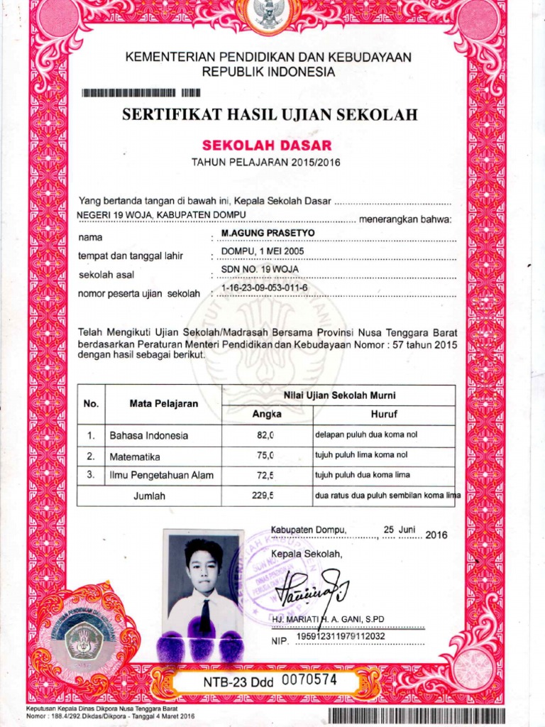 Sertifikat Hasil Ujian SD | PDF