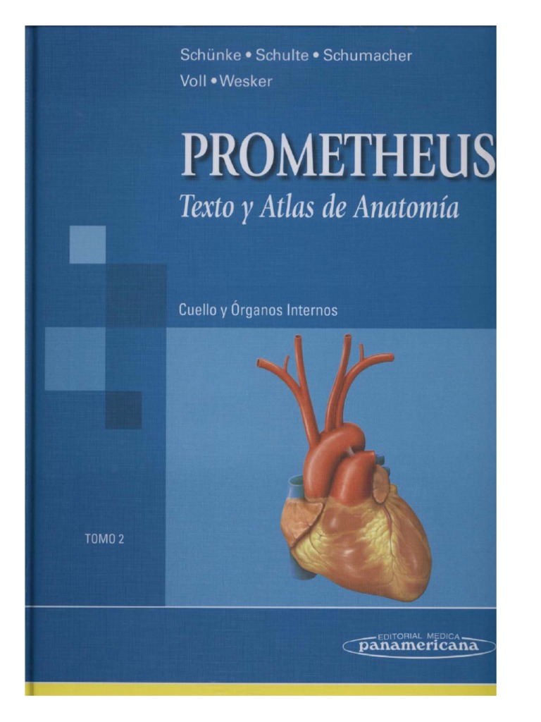 Prometheus Texto y Atlas de Anatomia - Cuello y Organos Internos - Tomo 2 PDF | PDF