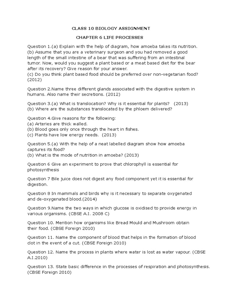 Class 10 Chapter 6 PR Assignment | PDF