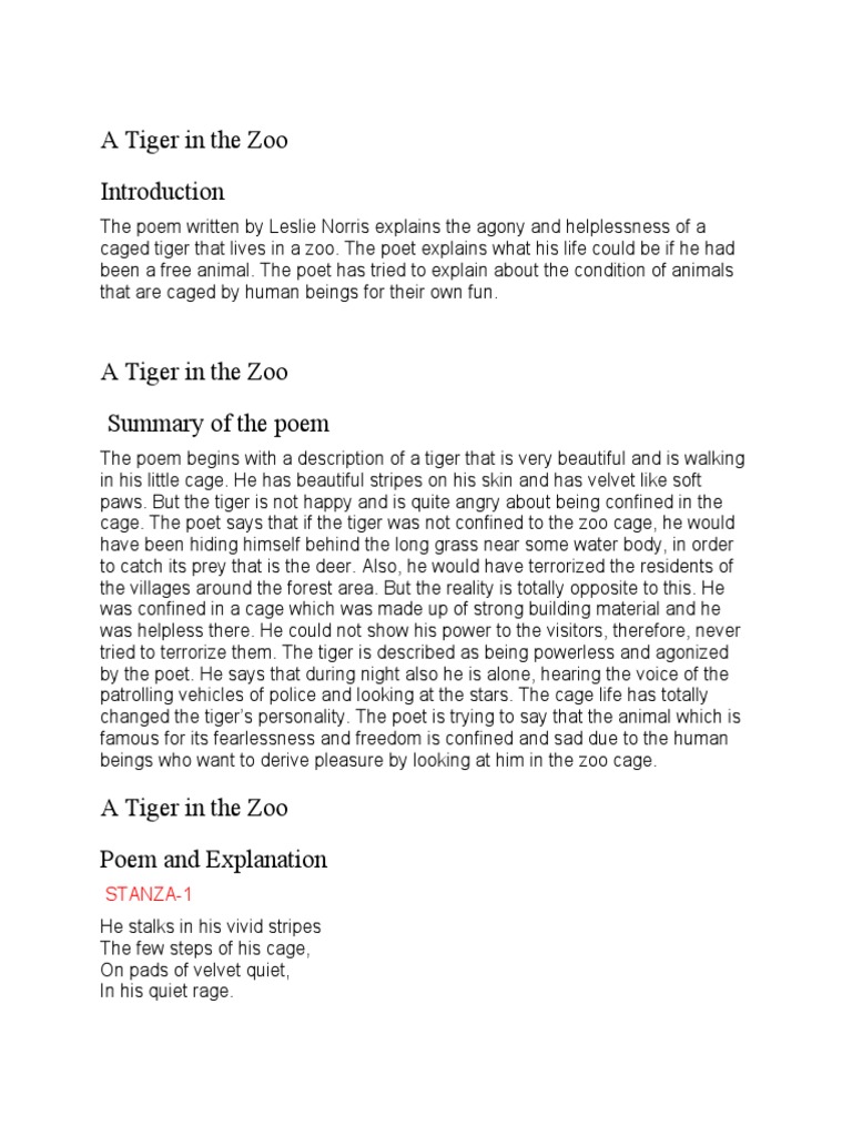 A Tiger in The Zoo Notes | PDF | Rhyme | Tiger