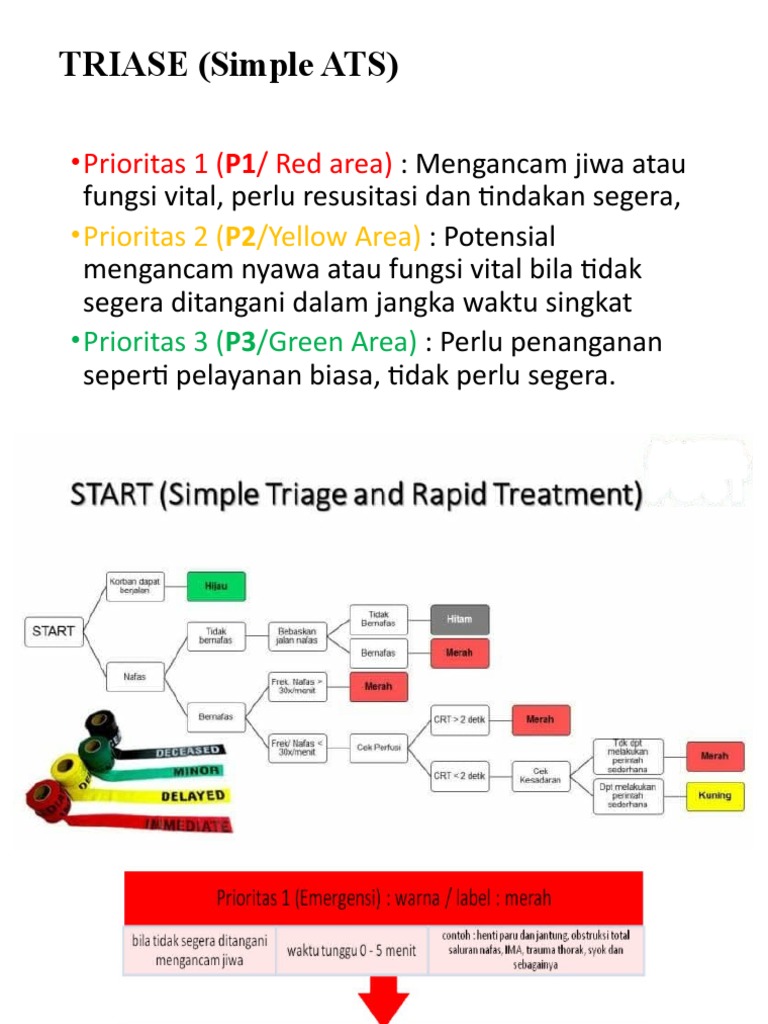 TRIASE (Simple ATS) | PDF