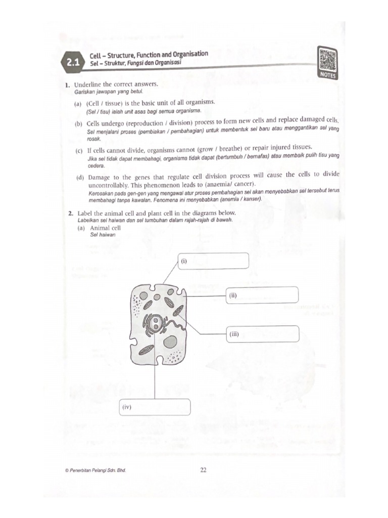 CHP 2 Exercise 1 | PDF CHP 2 Exercise 1 | PDF