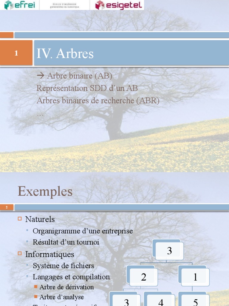 20XX-XX Cours Chapitre4 Arbres Powerpoint SDD | PDF